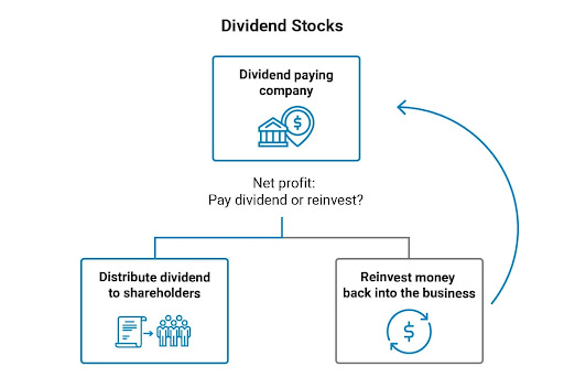 What Are Dividends? | Definition & Types | Simply Explained