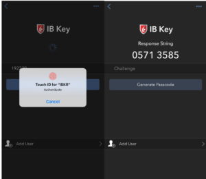 Is Interactive Brokers Safe? What Beginners Should Know | Finbold