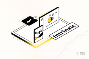 What is Intrinsic Value? Definition & Examples | Finbold.com