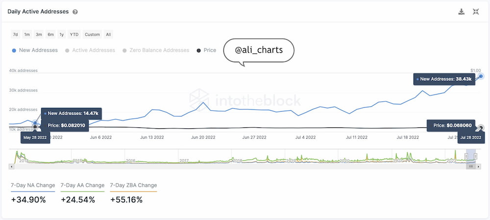 Number of new daily DOGE addresses climbs over 260% in 2 months