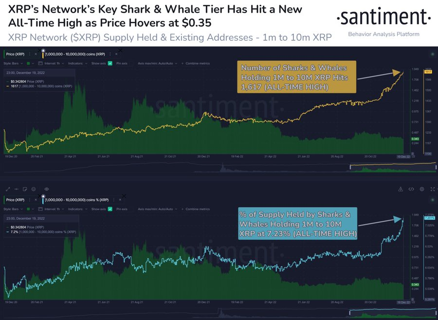 XRP demand booms among crypto whales as accumulation hits an all-time high