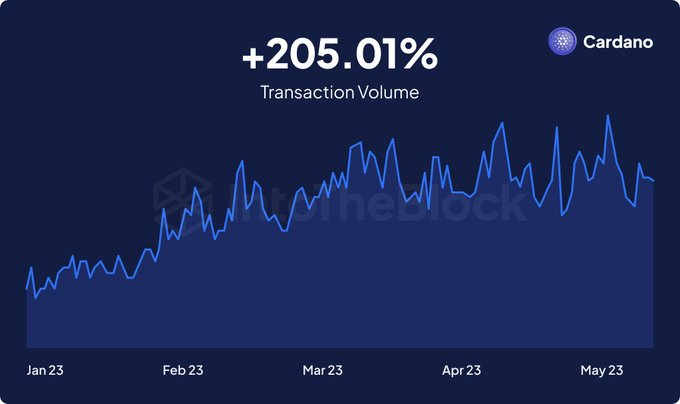 Cardano defies crypto downturn as transaction volume soars 200%