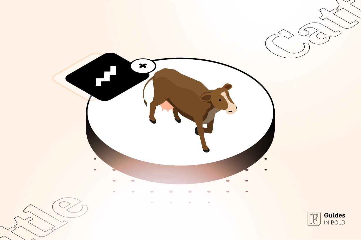 How to Invest in Cattle [2026] | Step-by-Step