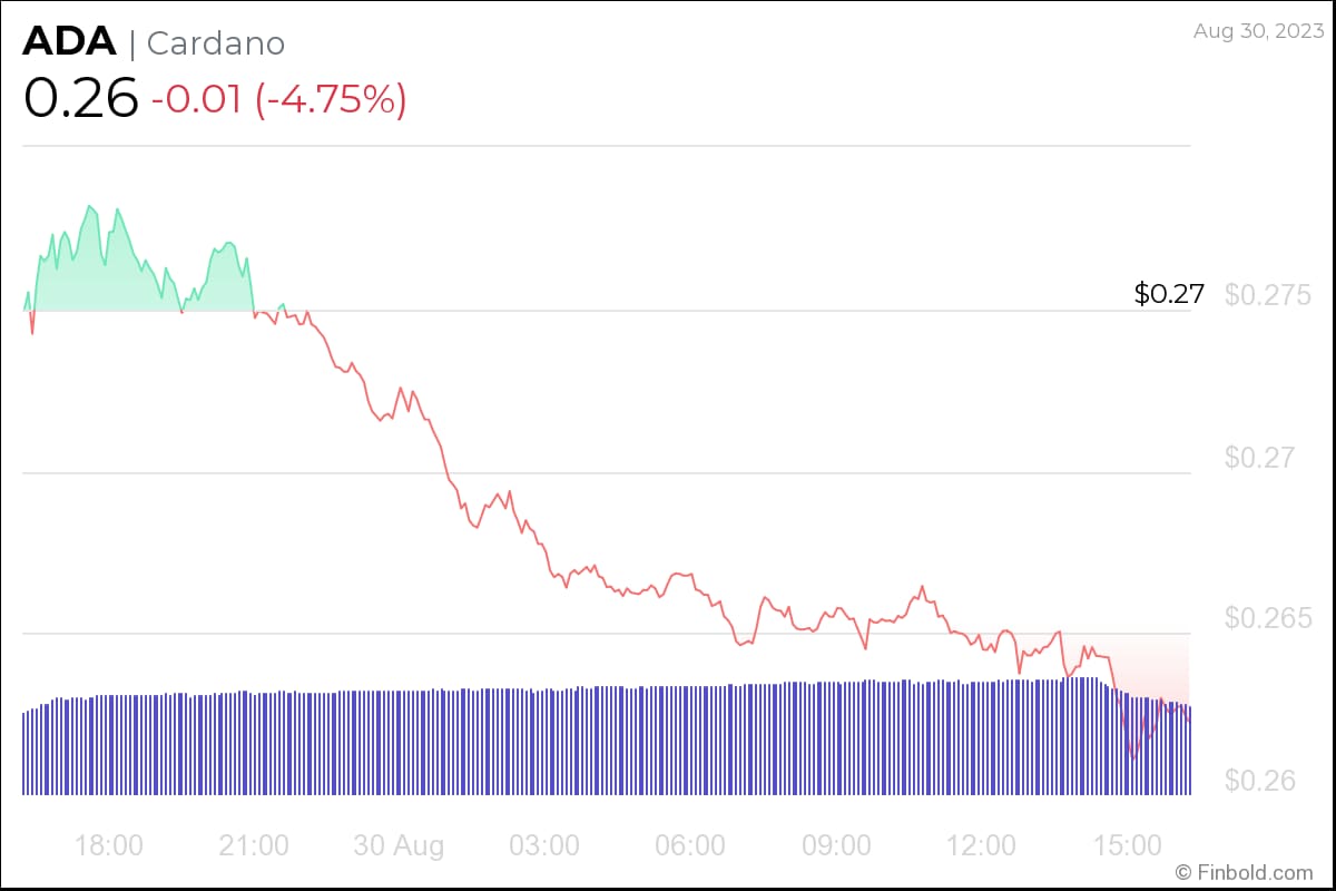 Cardano adds 250k new wallets since April despite ADA price drop