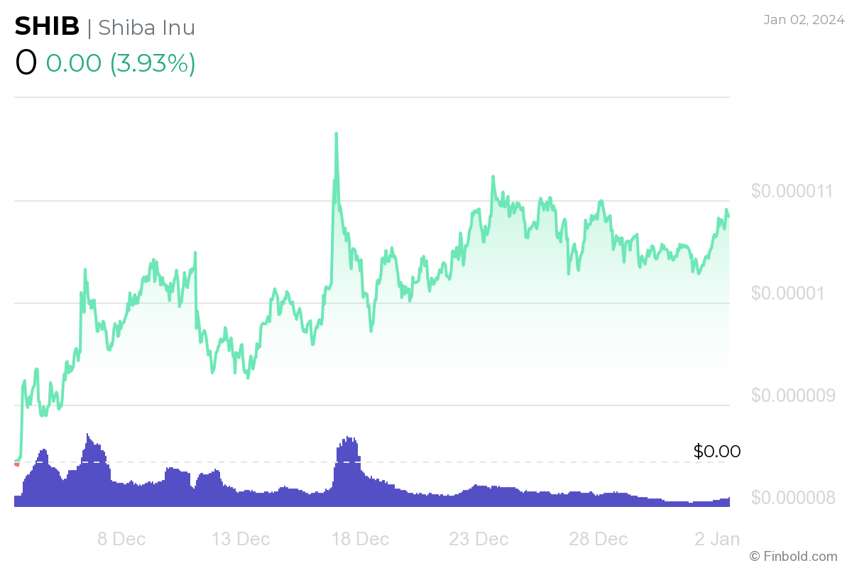 Machine learning algorithm sets SHIB price for January 31, 2024