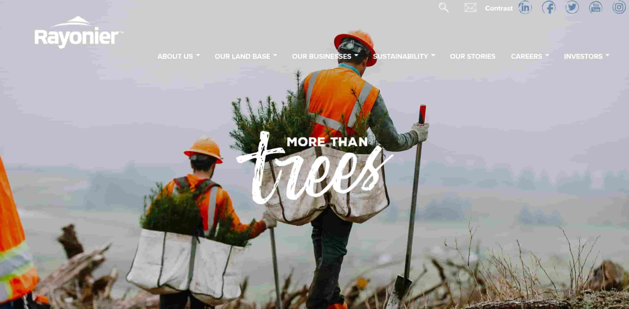 How to Buy Rayonier Stock [2025] | Step-by-Step