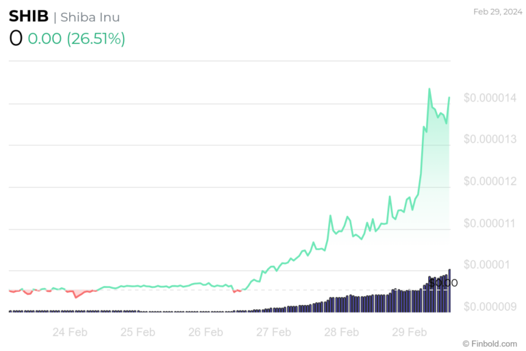 $1,000 invested in SHIB at start of 2024 returned