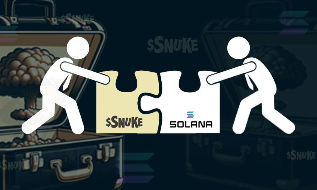 SNUKE Meme Coin Launches Presale, Is This The Next Solana Meme Coin To ...