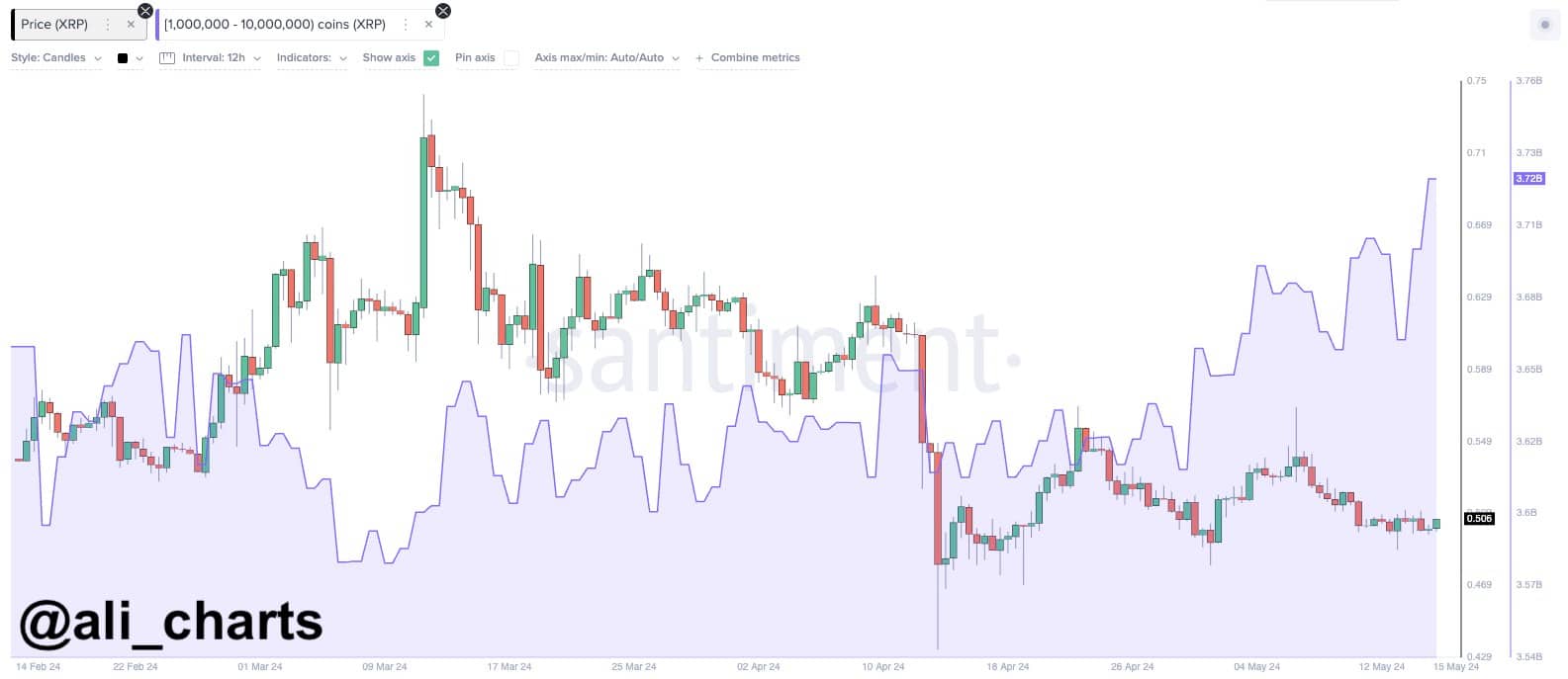 Buy signal? XRP whales stack $55 million in two weeks