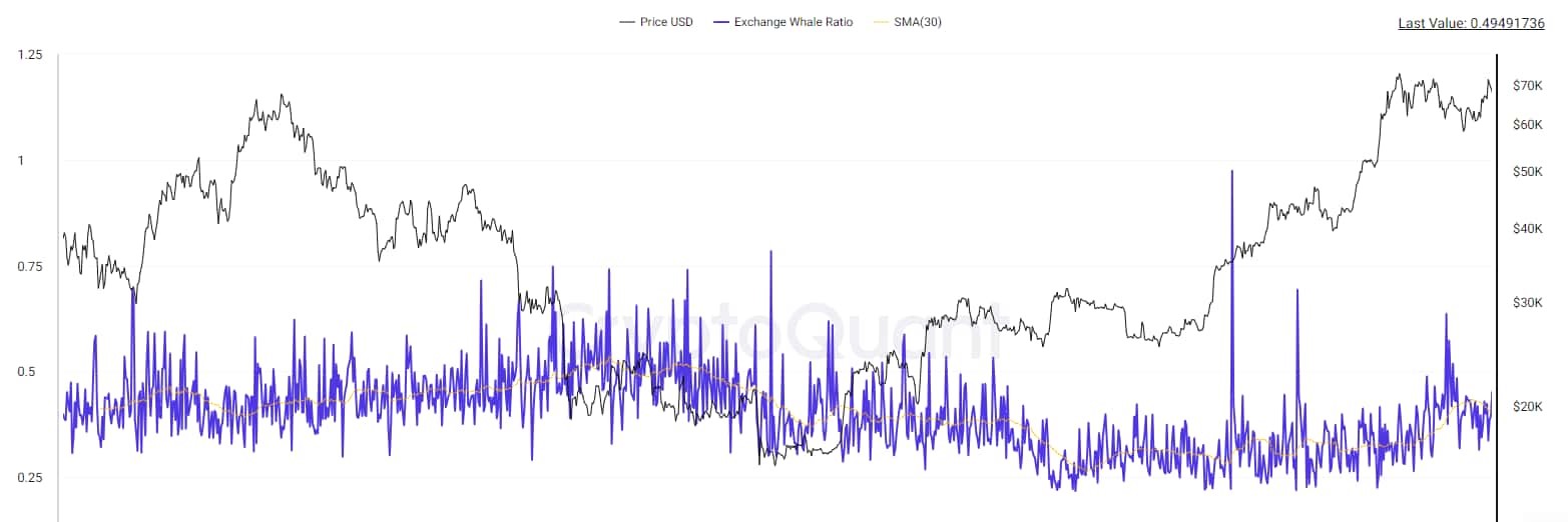 Bitcoin whales show ‘strong buying force’ signaling bullish bias