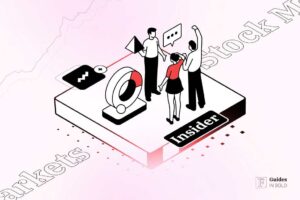 Understanding the Role of Insider Information in Stock Markets