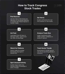Politician Stock Trading 101