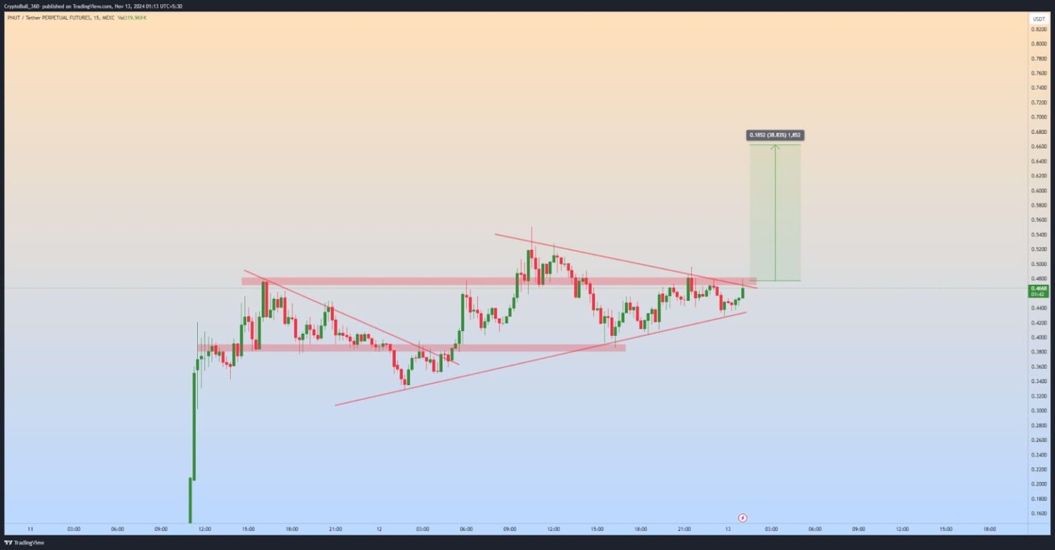 Over $1 billion inflows into Pnut in a day; Should you follow suit?