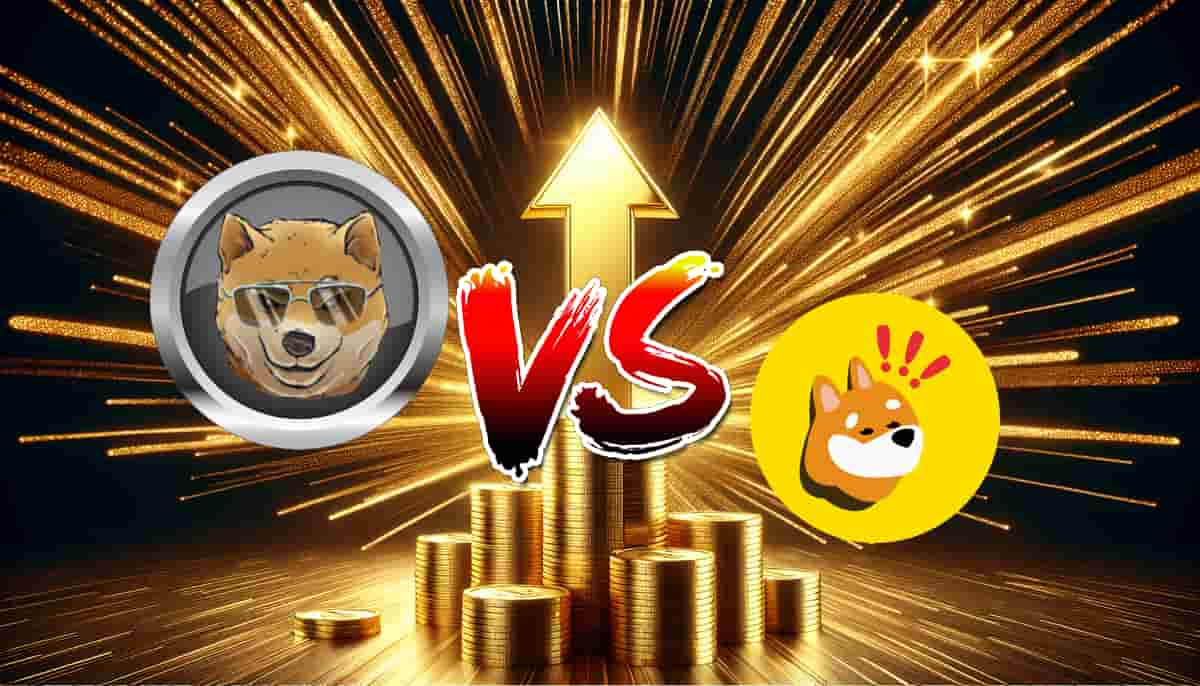 BONK Faces a Challenge: Meet the Meme Coin Aiming for 6,500% Gains in ...