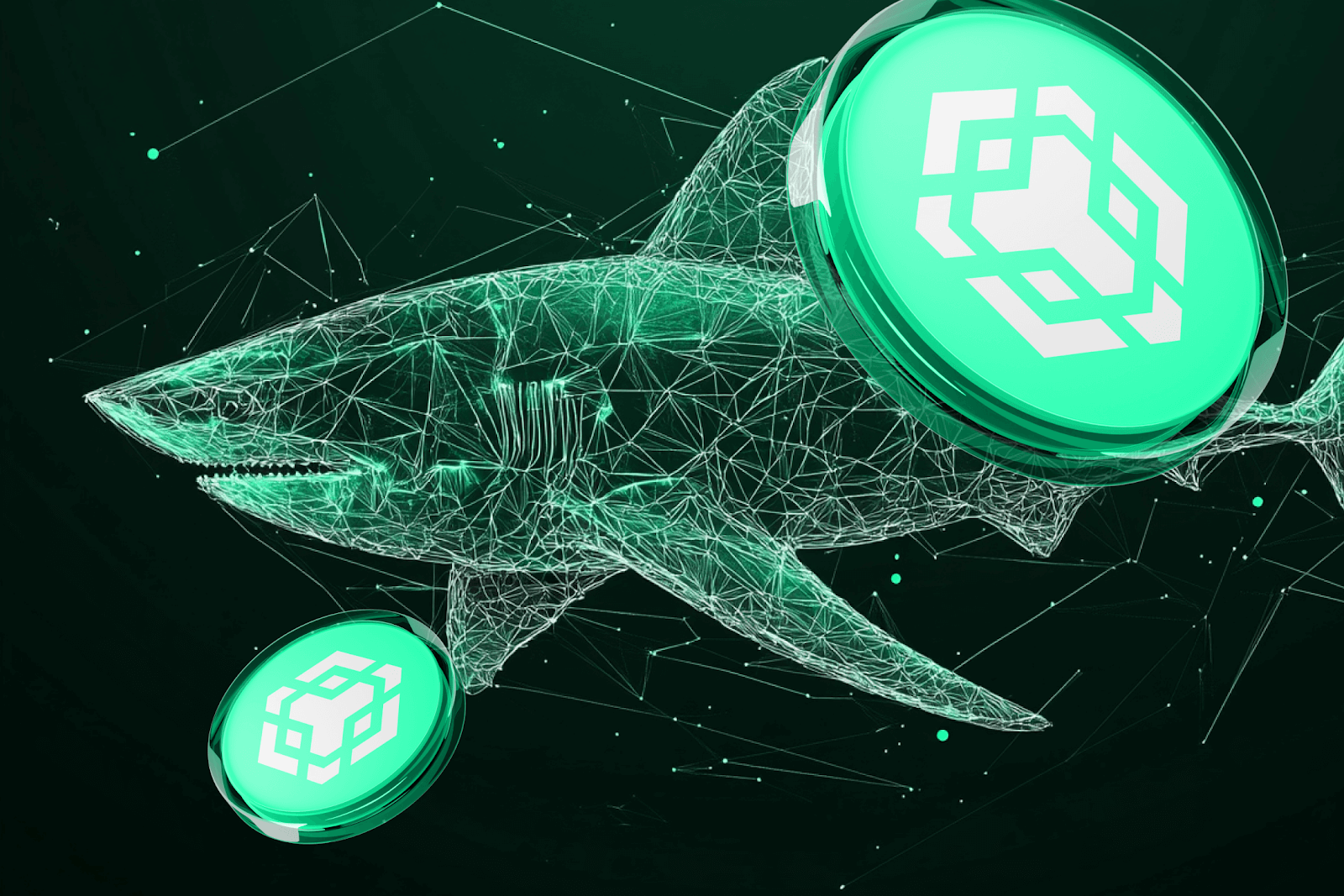 As Bitcoin Faces Potential Correction, Dogecoin Whales Pour Funds Into ...