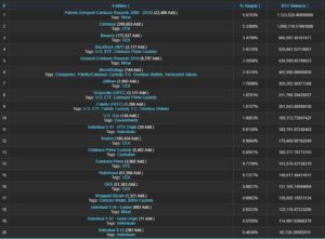 These are Bitcoin's top holders as of December 2024