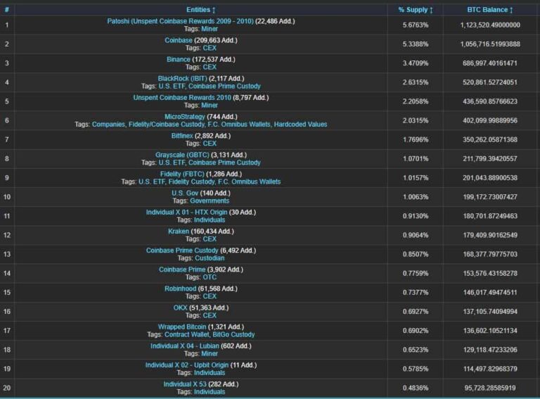 These are Bitcoin's top holders as of December 2024
