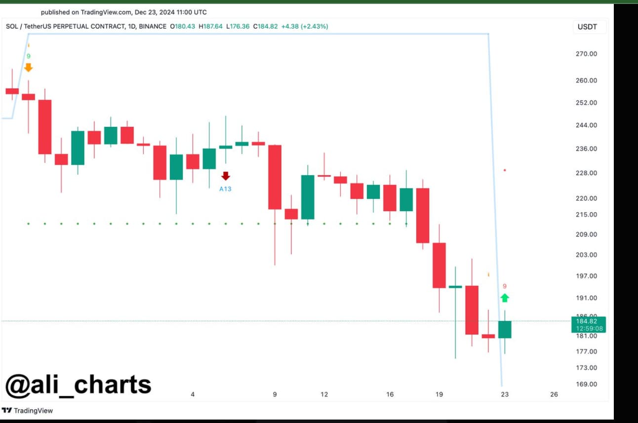 Solana (SOL) is set for an imminent rally — Here’s why