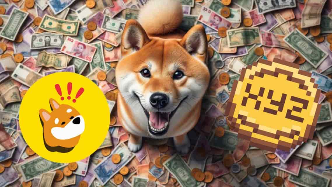 Dogecoin Millionaire Names BONK and XYZVerse as Top Contenders for 2025 ...