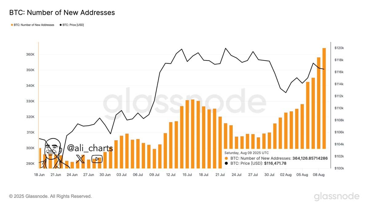 Bitcoin’s new addresses hit record surge in 2025